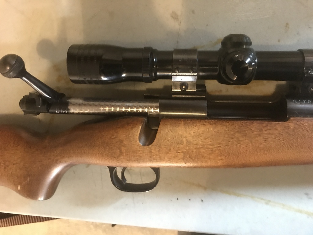 Alaska's List : Winchester Youth Ranger .243