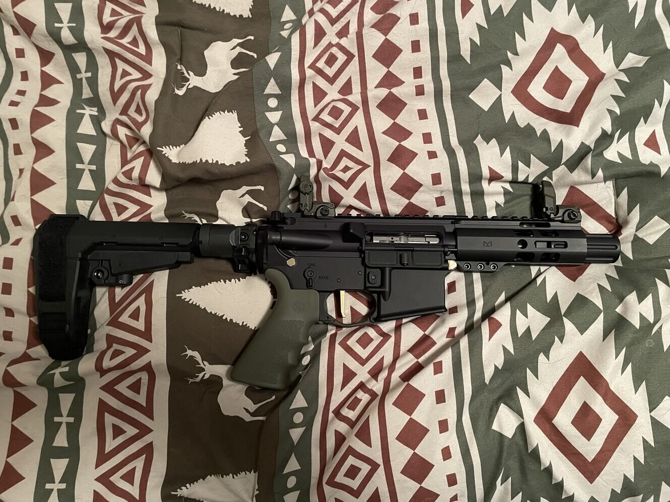 Alaska's List : Custom AR .22 LR